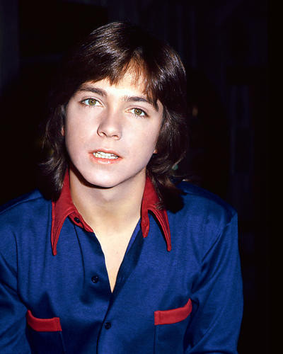 Movie Market Photograph And Poster Of David Cassidy 274336