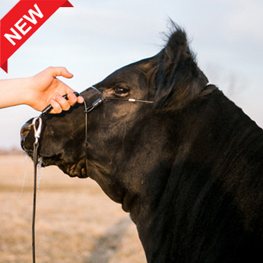 Phantom Cattle Cable Halter w/Ghost Grip - Prairie View Ag Supply