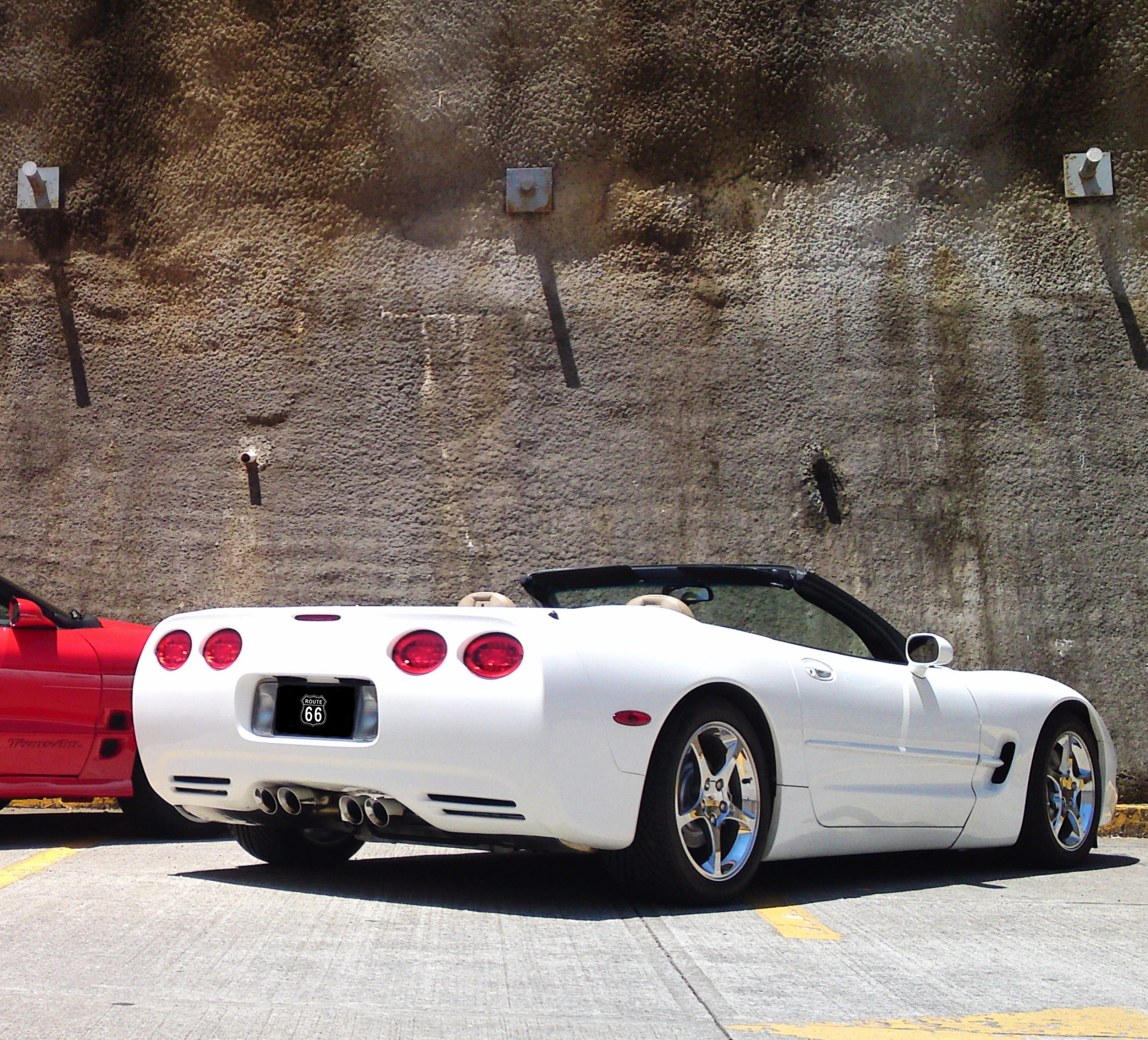 2000 Arctic White Corvette - John P. - Laredo, TX - Corvette Depot