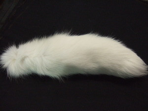 Arctic White fox tail - FURTAILS