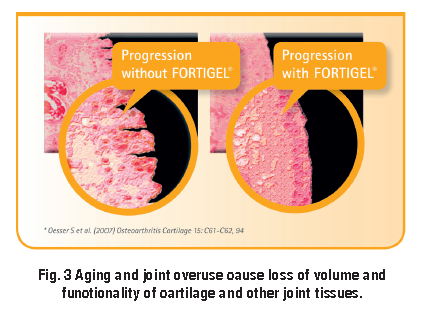 Entire Body Collagen Adaptogen Research with the research-proven ...