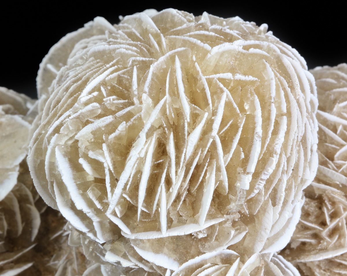 Selenite Desert Rose Meaning and Properties - Unique Feng Shui