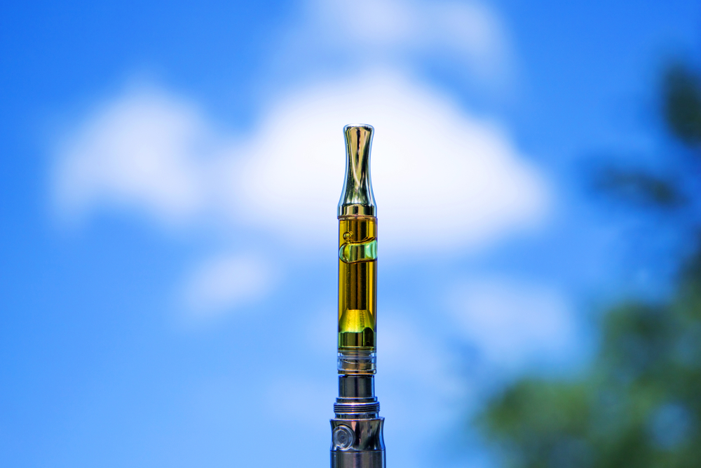 Which CBD Method Should You Choose? - The Vape Mall