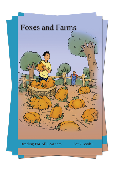 Set 7 Reading For All Learners Color Edition - Academic Success For All ...