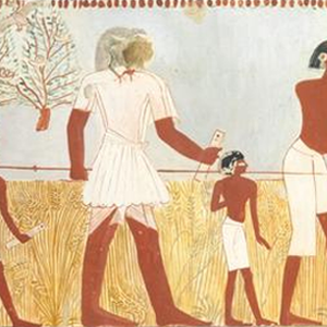 "What's a Rope-Stretcher?" - Precision Laser & Instrument