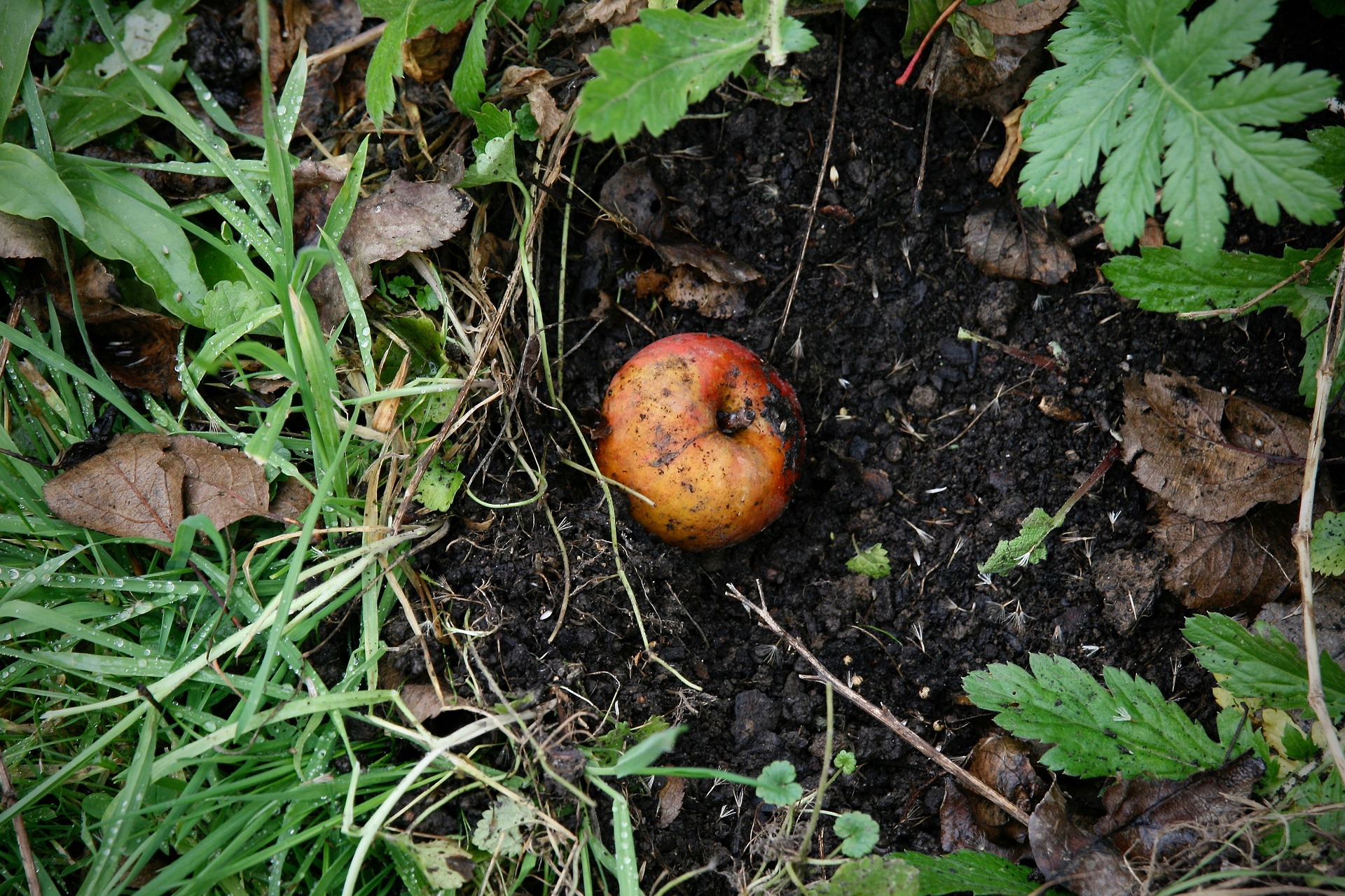 How Composting Works - Elevate Packaging