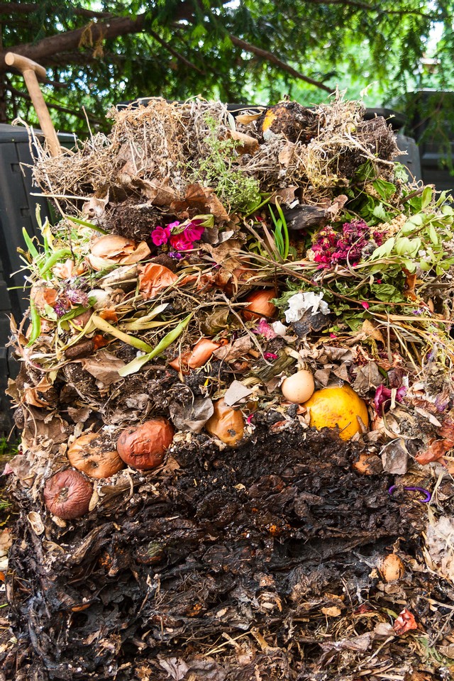 Guide to Home Composting - Elevate Packaging