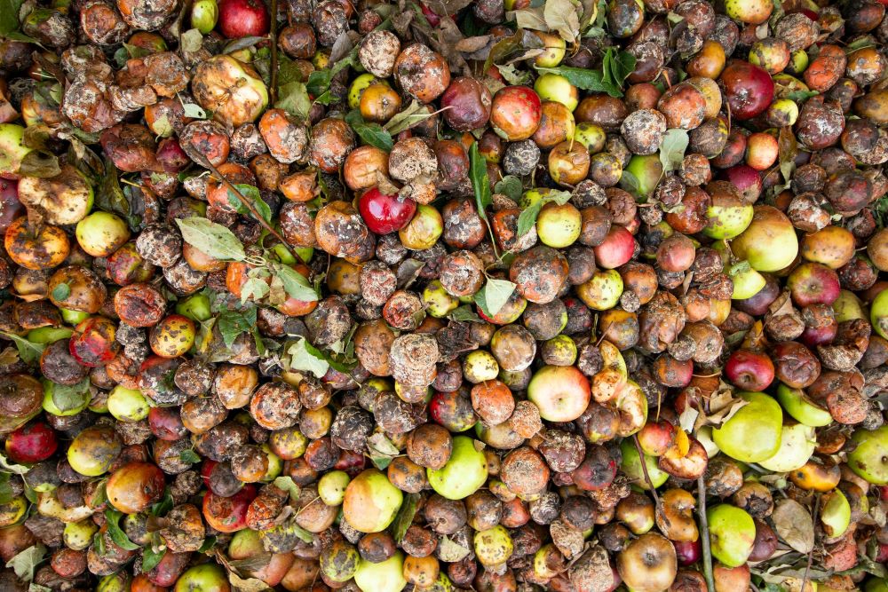 Rethinking Waste Elevate Packaging Rethinking Waste Elevate Packaging