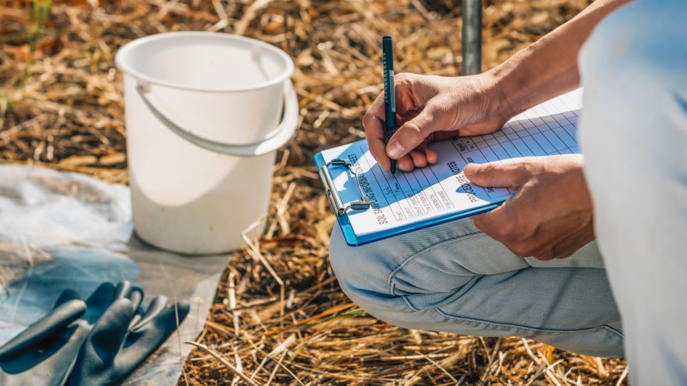 Ensuring the Success of Compostable Packaging - Elevate Packaging