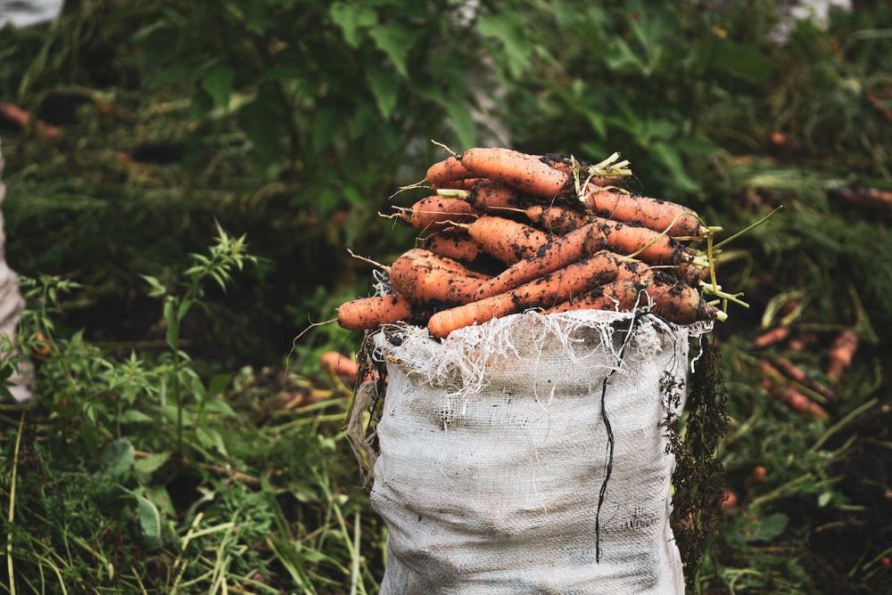 Healthy Soil Elevate Packaging