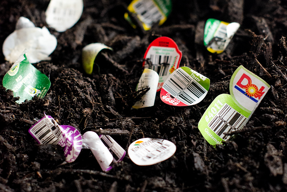 The Impact of Hidden Plastics in Business - Elevate Packaging