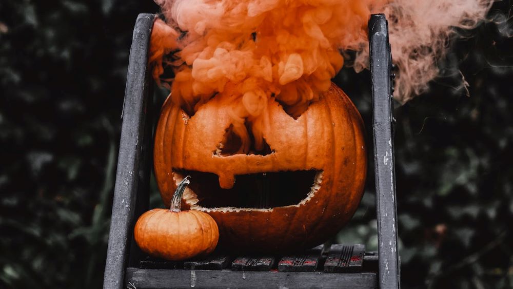 Say Boo to Landfills - Compost Your Pumpkin After Halloween! - Elevate ...