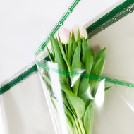 Eco-Friendly Compostable Packaging and Labels
