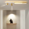 LED Ceiling Light: the best of both worlds. - Horizon Lights