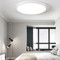 PICARD PMMA Dimmable Ceiling Light for Leisure Area, Living Room ...