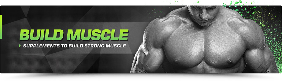 Build Strong Muscle & Size | Vitalstrength.com