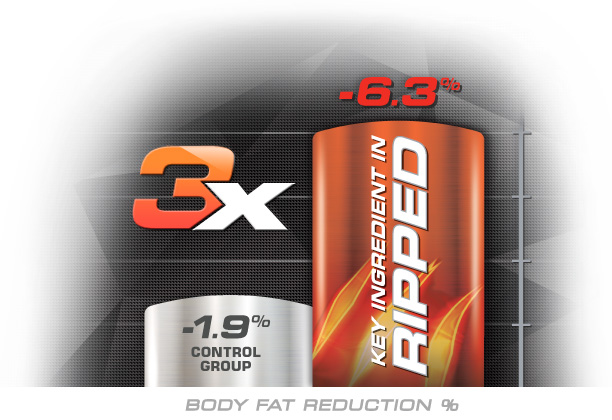 Hydroxy Ripped Thermogenic Protein Powder 1kg, 2kg, 3kg & 5kg ...