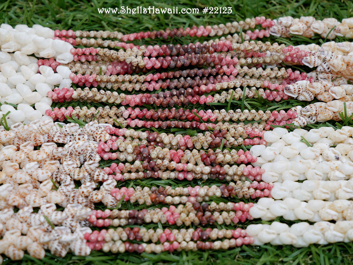 50" triple strands kipona style shells lei/Niihau & kahelelani shell ...