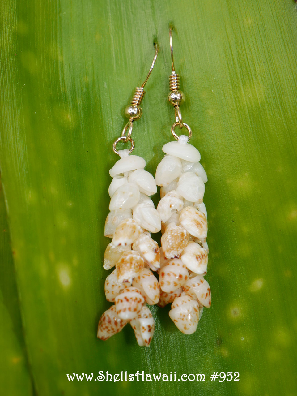 1 1/4" Momi pikake style shell earrings/Niihau shell earrings #952 ...