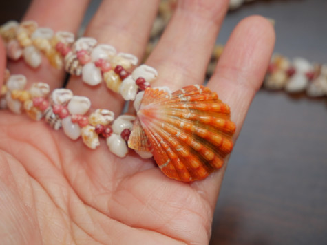18 3/4” Candy corn Momi, kahelelani& sunrise shell lei #919 ...