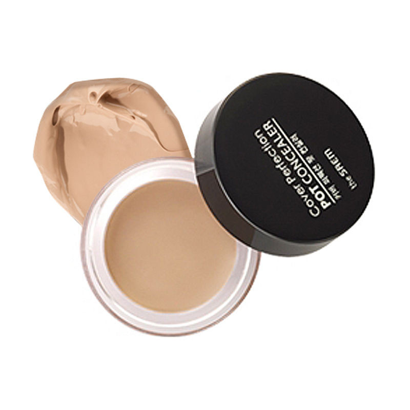 the SAEM Cover Perfection Pot Concealer 2 Color 4g - Strawberrycoco