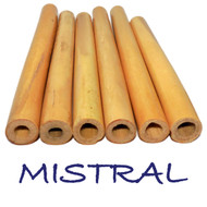 Capitol Cane - A New Approach to Cane