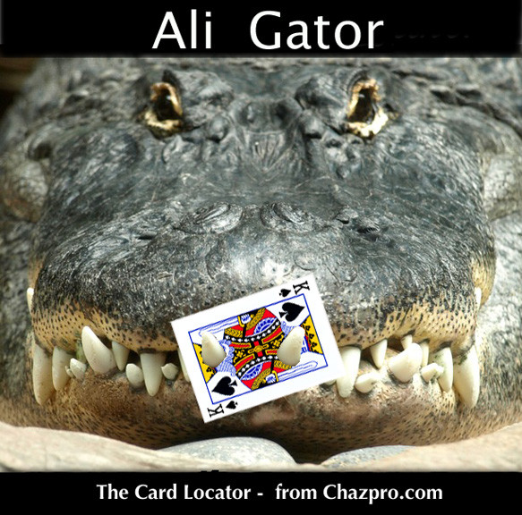 Ali Gator - Chazpro Magic Co. Inc.
