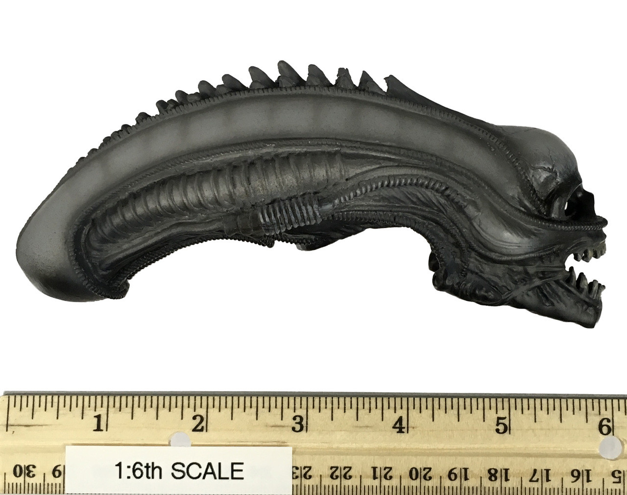 Dark Star’s World: Masterpiece: H.R. Giger - Alien Head Prop (See Note ...