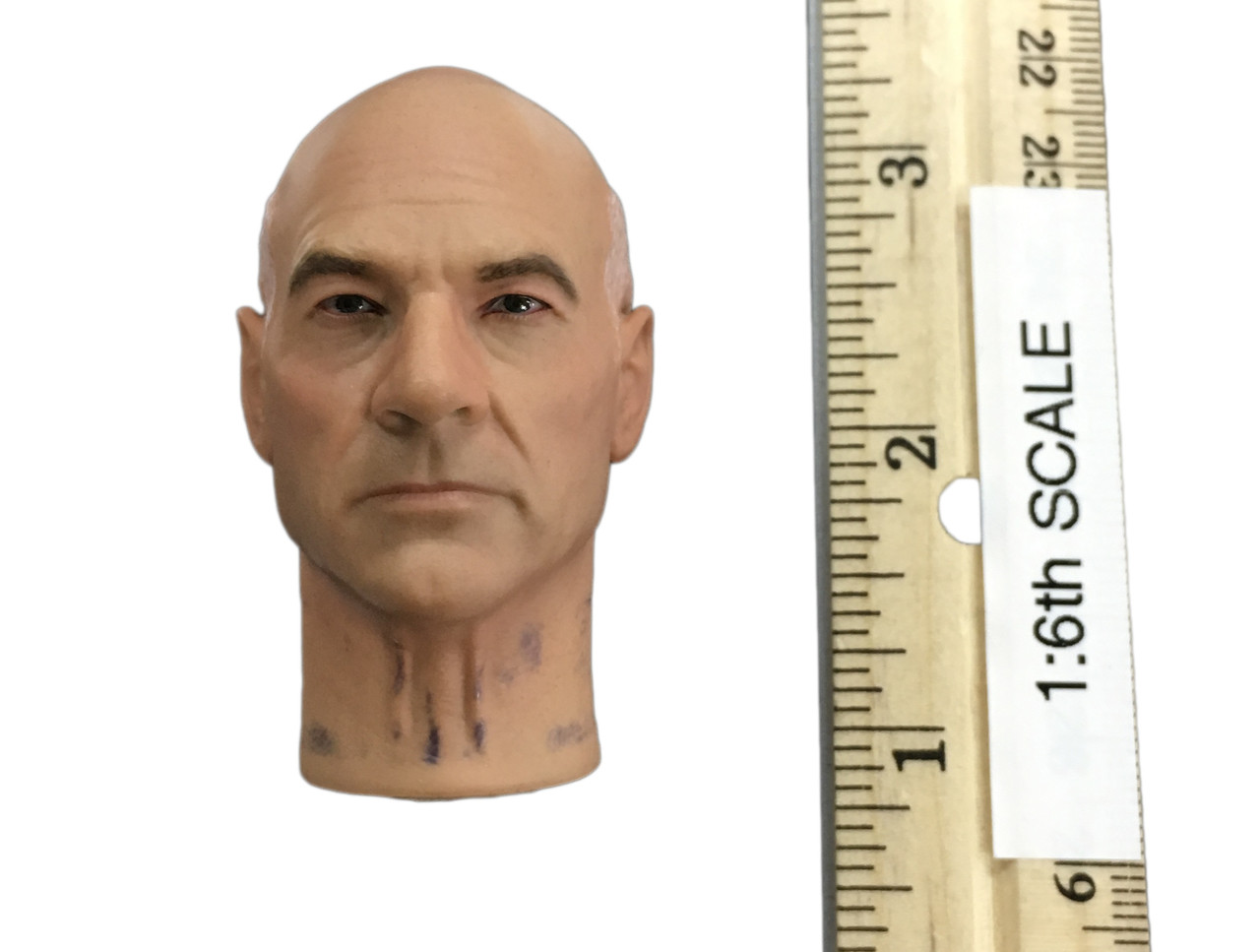 Captain Jean-Luc Picard - Head (SEE NOTE!) (Molded Neck) - Toy Anxiety