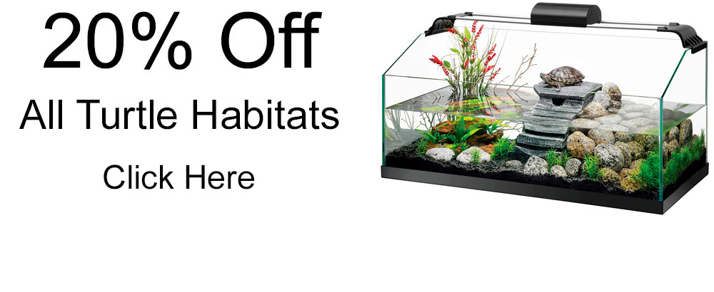 Turtle Store | Buy Turtles Online | Turtle Accessories - My Turtle Store