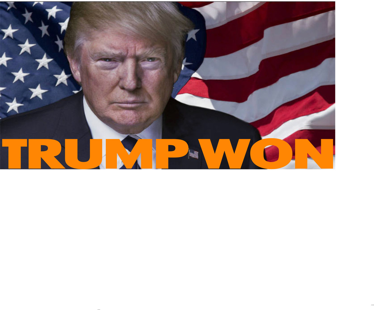 trump won sticker