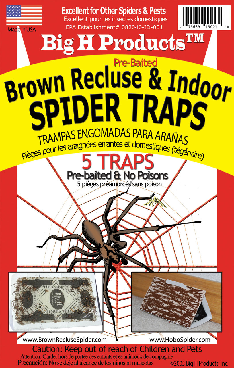 Big H Products - Brown Recluse & Indoor Spider Traps - Case of 24 ...