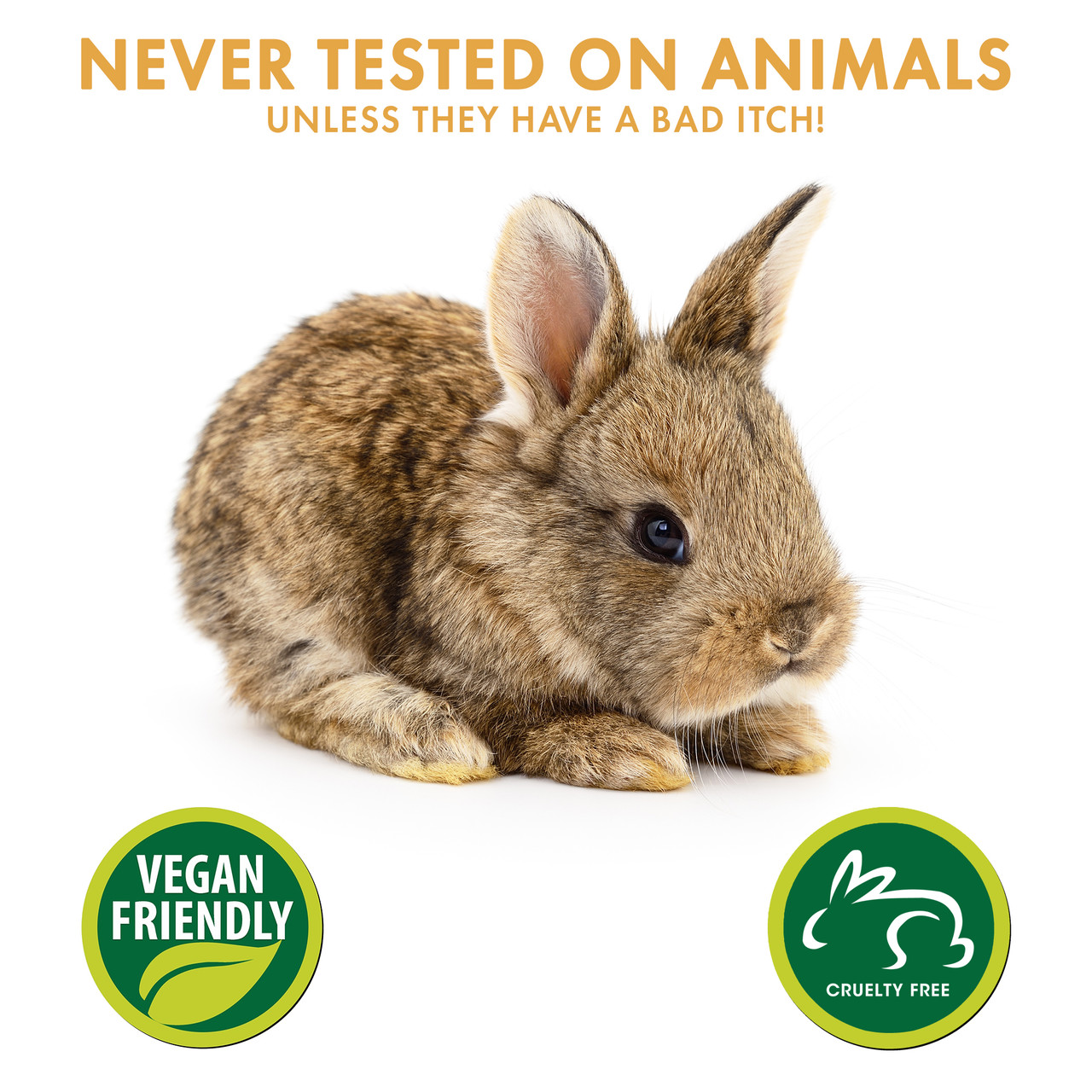 [CASE 12] Wild Harvested Cactus Gel - Cactus Juice