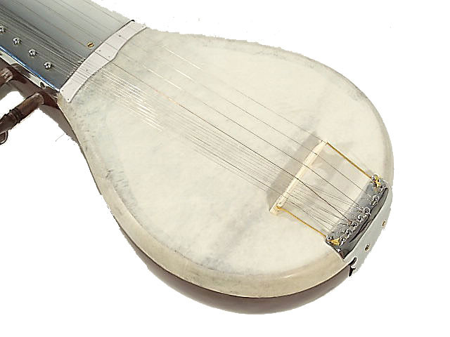 dotara instrument