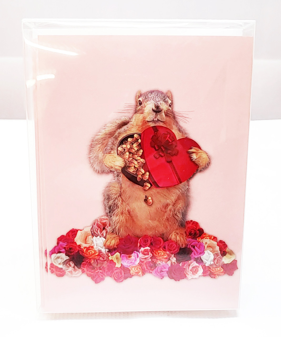 funny squirrel cards