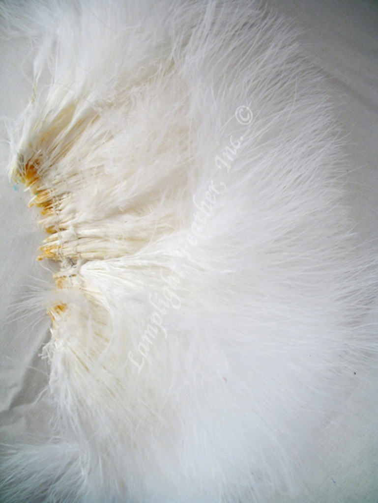 white feathers large