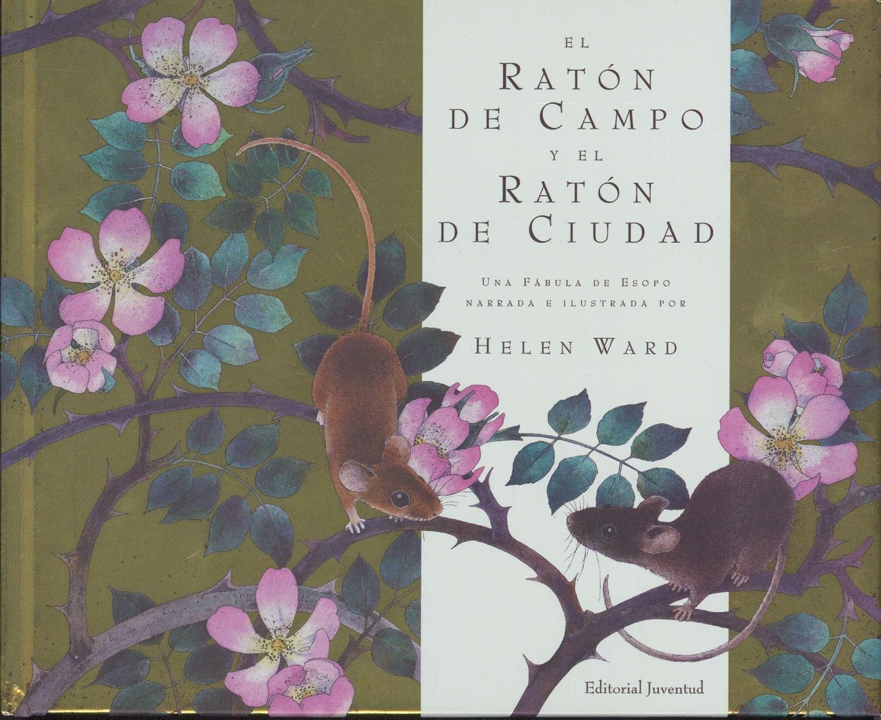 El ratón de campo y el ratón de ciudad (HC-9788426139221) - The Town ...