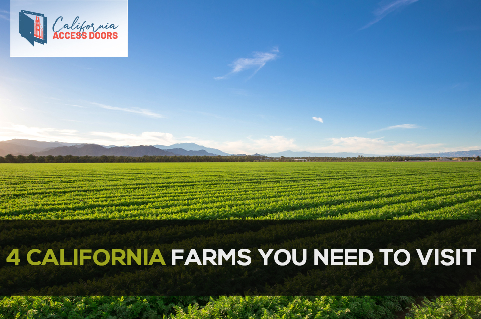 Top 4 Famous California Farms You Need to Visit - California Access Doors