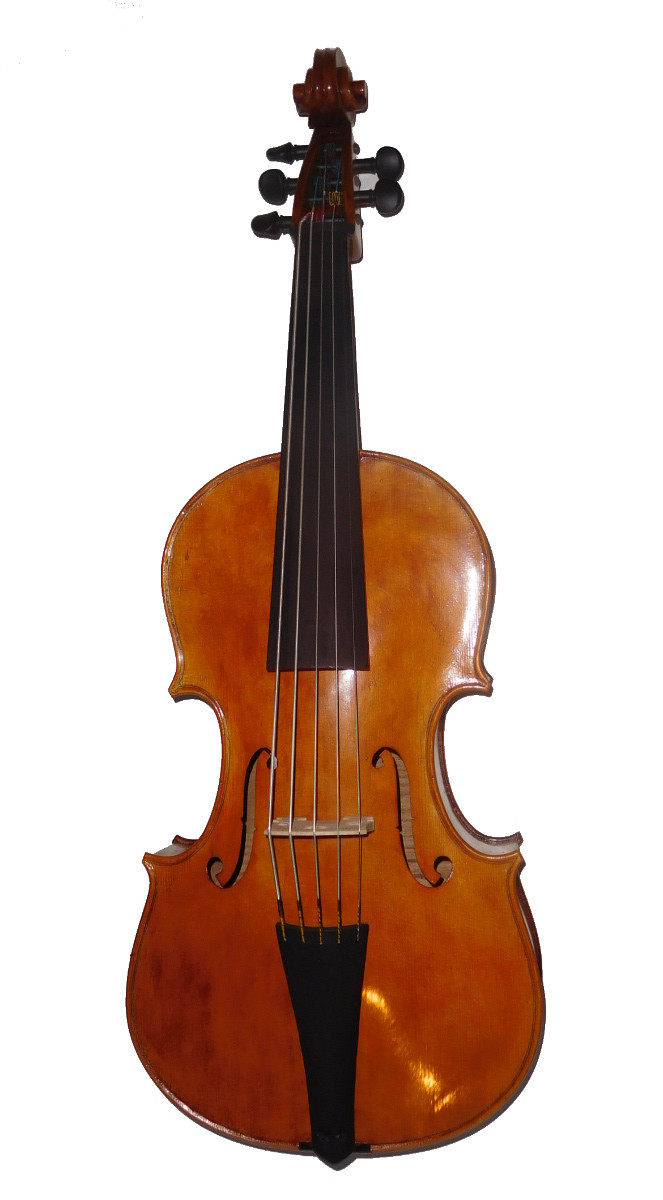 Violoncello da Spalla by D. Rickert (Conservatory Model)