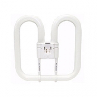 Compact Fluorescent (CFL) Light Bulbs