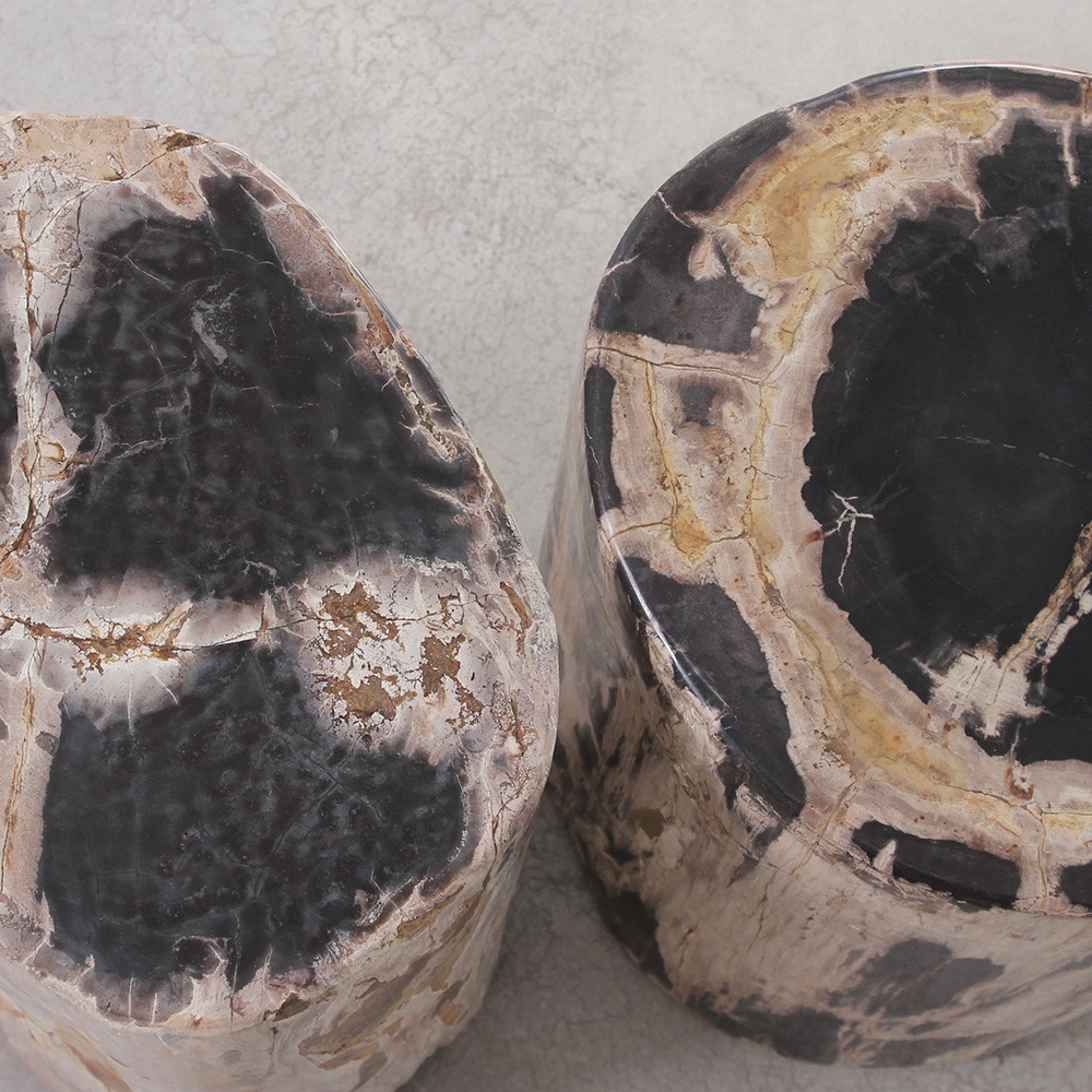 petrified log side table