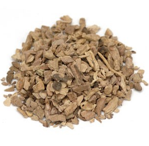 Red Root | Medicinal Herbs & Their Uses | Bulk Herbs