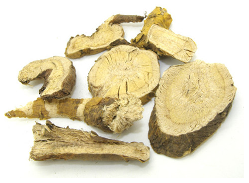 Sophora (Ku Shen) Root | Medicinal Herbs & Their Uses | Bulk Herbs