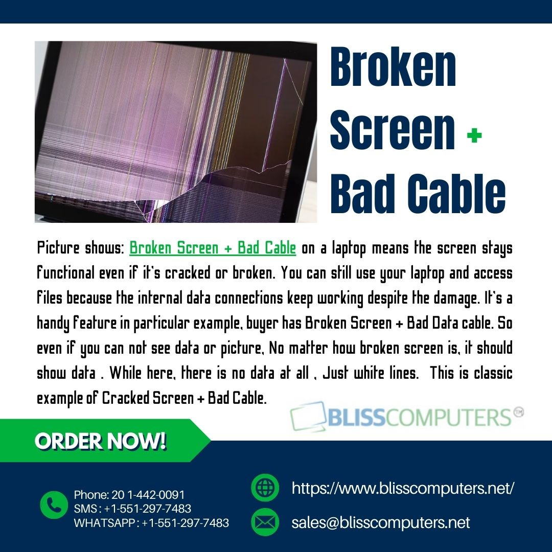 BROKEN SCREEN + BAD CABLE (#1517) - Bliss Computers
