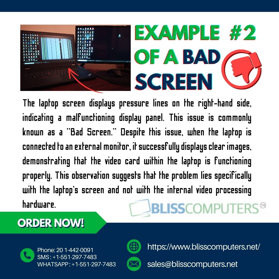 EXAMPLE #2 OF A BAD SCREEN (#1527) - Bliss Computers