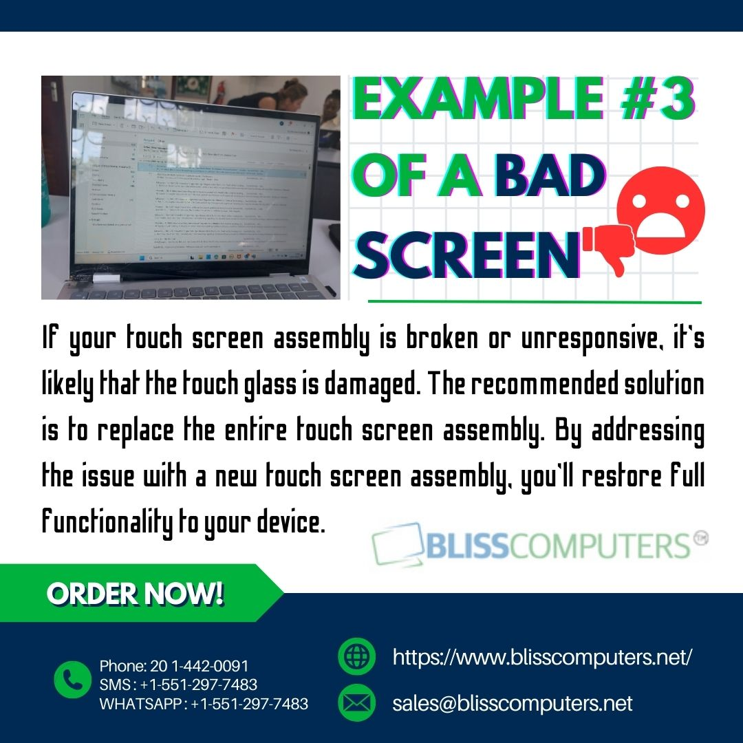 EXAMPLE #3 OF A BAD SCREEN (#1531) - Bliss Computers