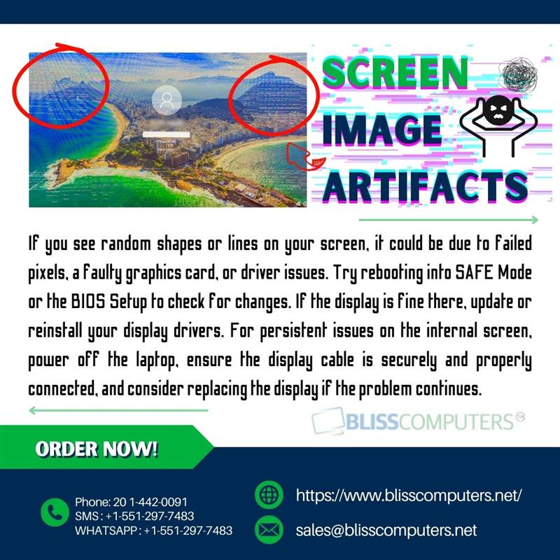 SCREEN IMAGE ARTIFACTS (#1539) - Bliss Computers