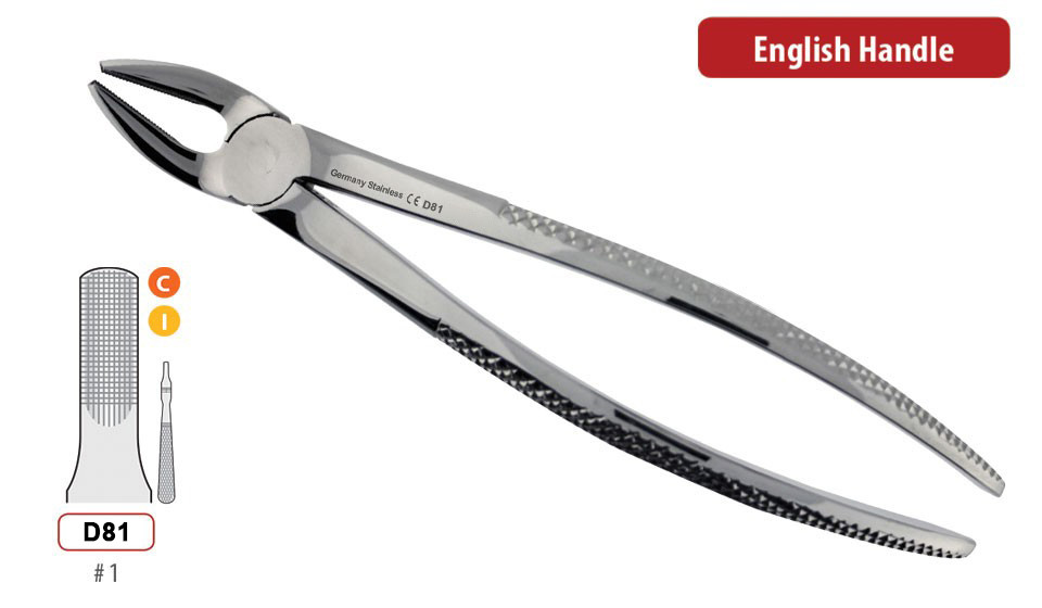 Extraction Forceps Upper Incisors And Canines - PrecisionMedicalDevices