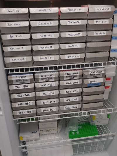 Look what we did to organize this lab freezer. We can do the same for ...