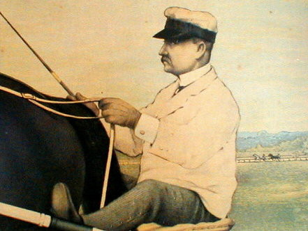 "Dan Patch" Horse Print ~ Harness Racing Pacer - Iron Wolf Traders, Ltd.